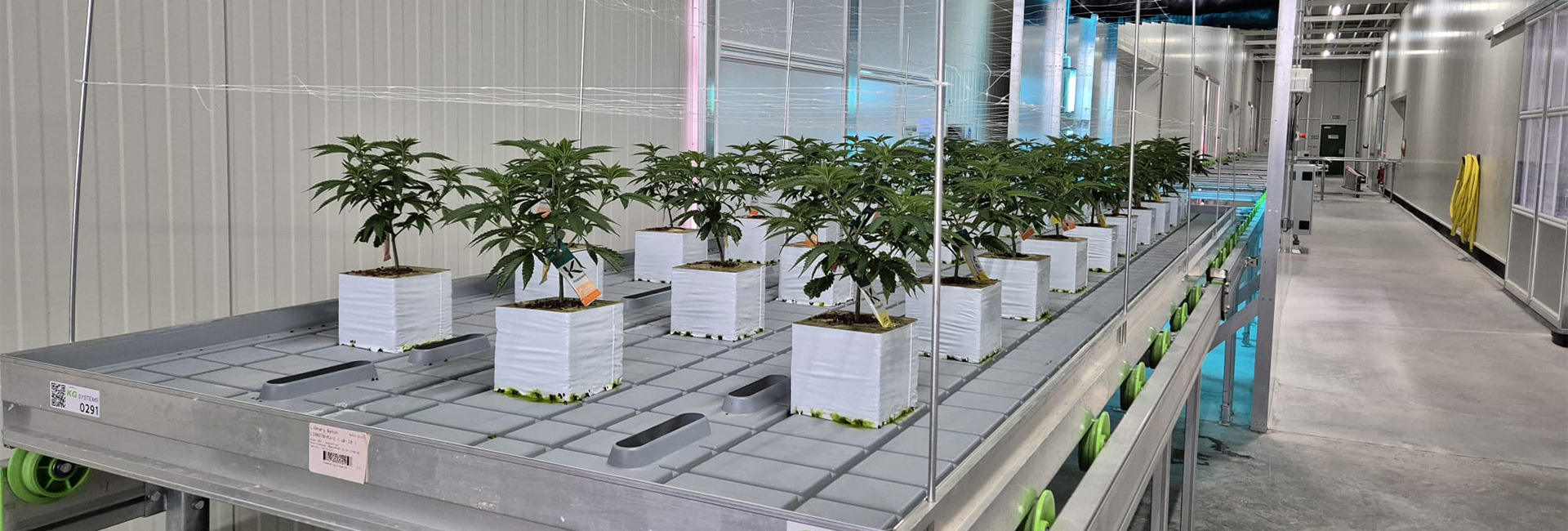 Home projecten Rol en vaste tafels